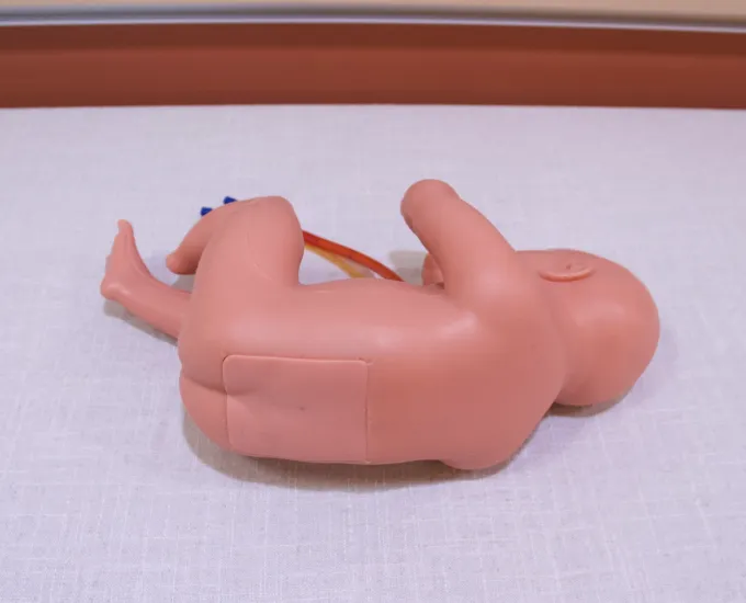 Trauma and Surgical Skills Trainers - Macon & Joan Brock Virginia ...