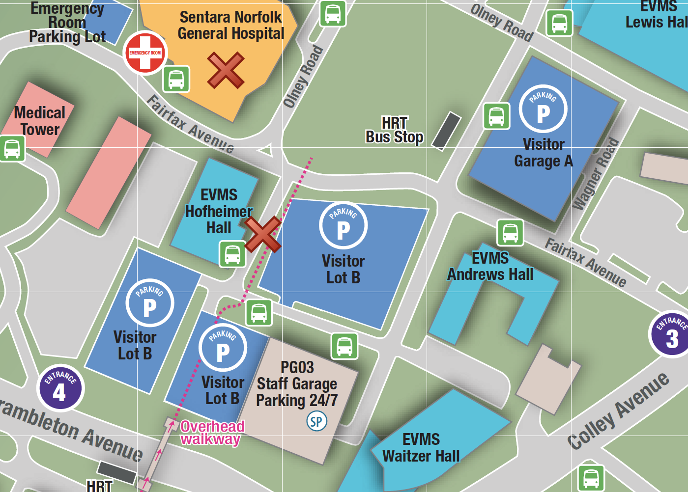 Rheumatology | Macon & Joan Brock Virginia Health Sciences EVMS Medical ...